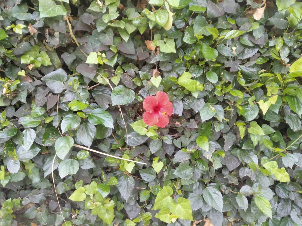 Are doctors ready to take advantage of the artificial intelligence in ...